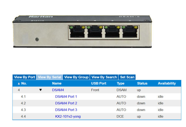 DSAM 4port version pictured